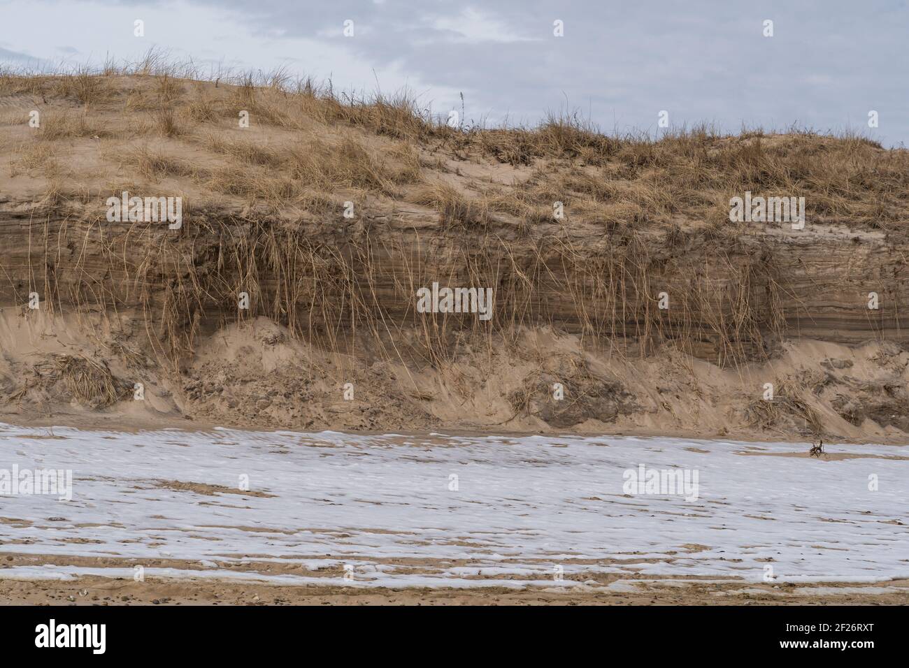Sand dunes in montauk hi-res stock photography and images - Alamy