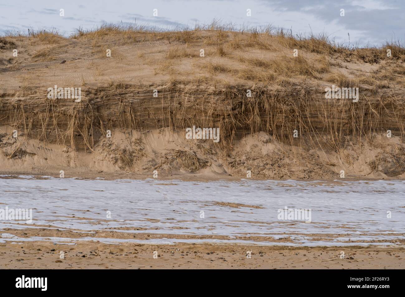 Close up of the sand dunes in Montauk, with snow covering the sand ...