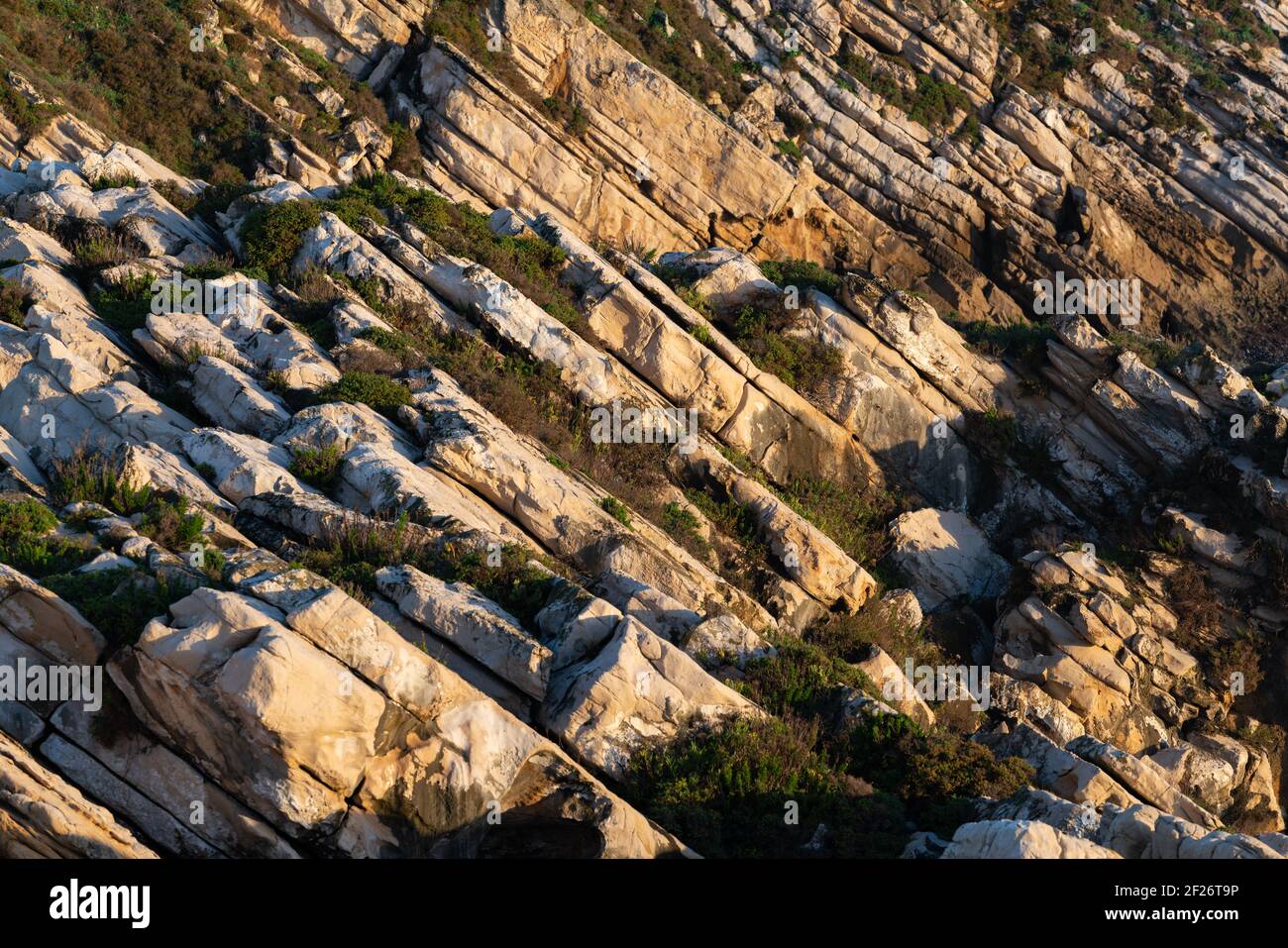 Beautiful schist cliff details in Baleal island at sunset in Peniche ...