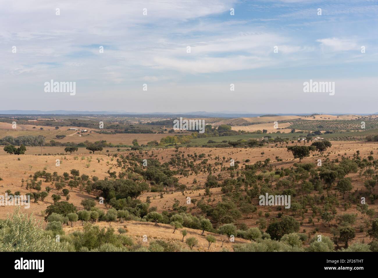 Alentejo beautiful green and brown landscape with olive and cork trees ...