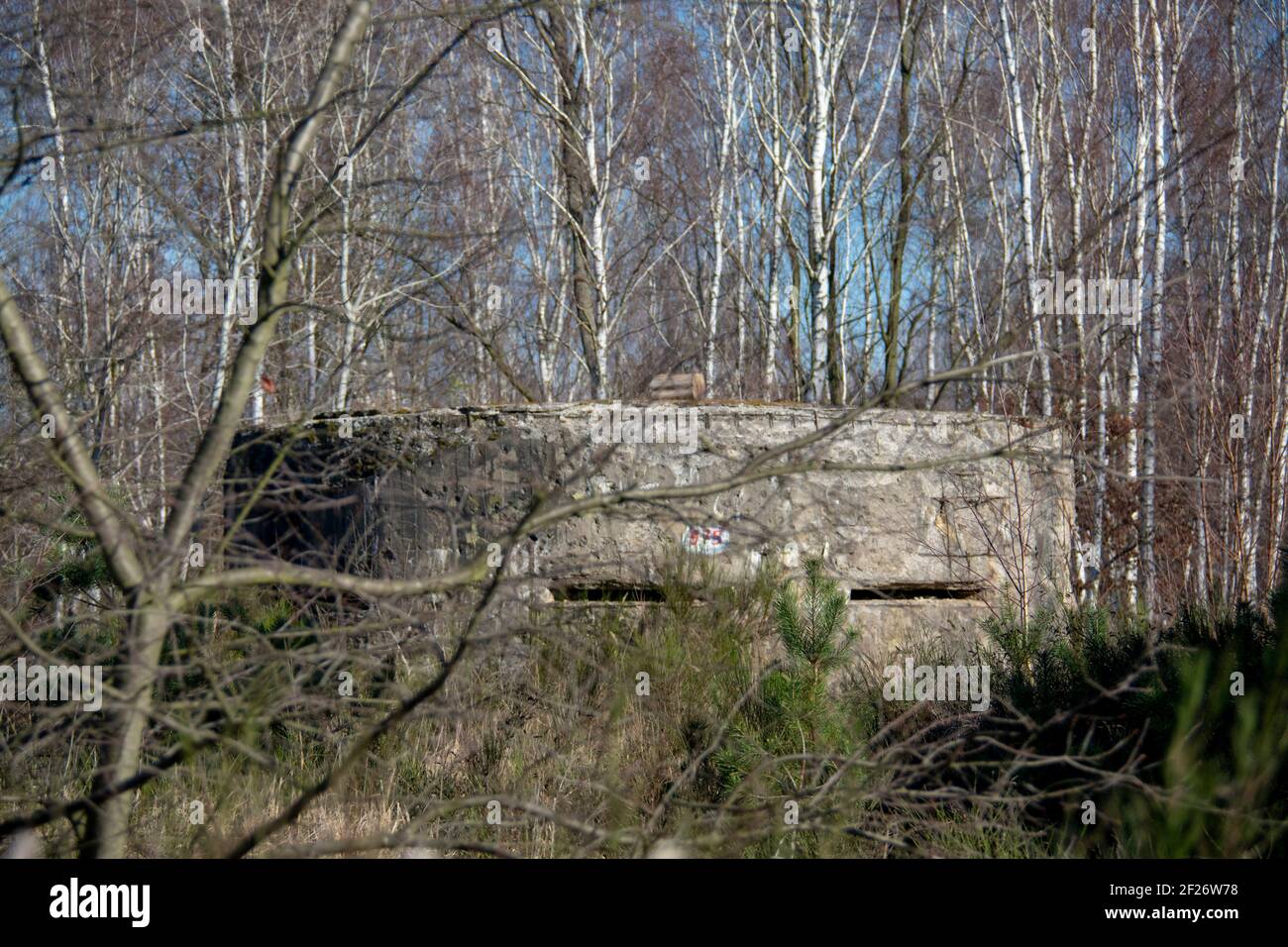 Destroyed World War II bunker landscape in Doeberitzer heide ...