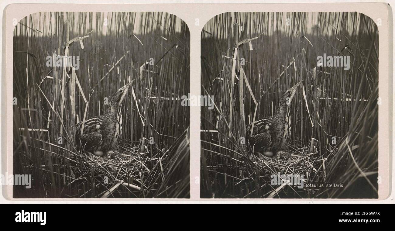 Stereo photographs hi-res stock photography and images - Alamy