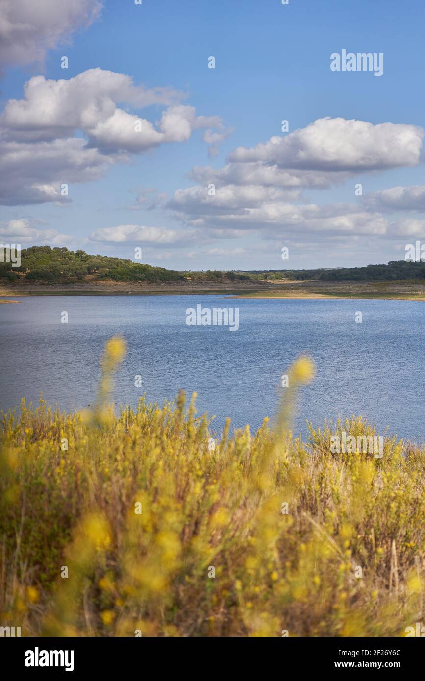Yellow dam hi-res stock photography and images - Alamy