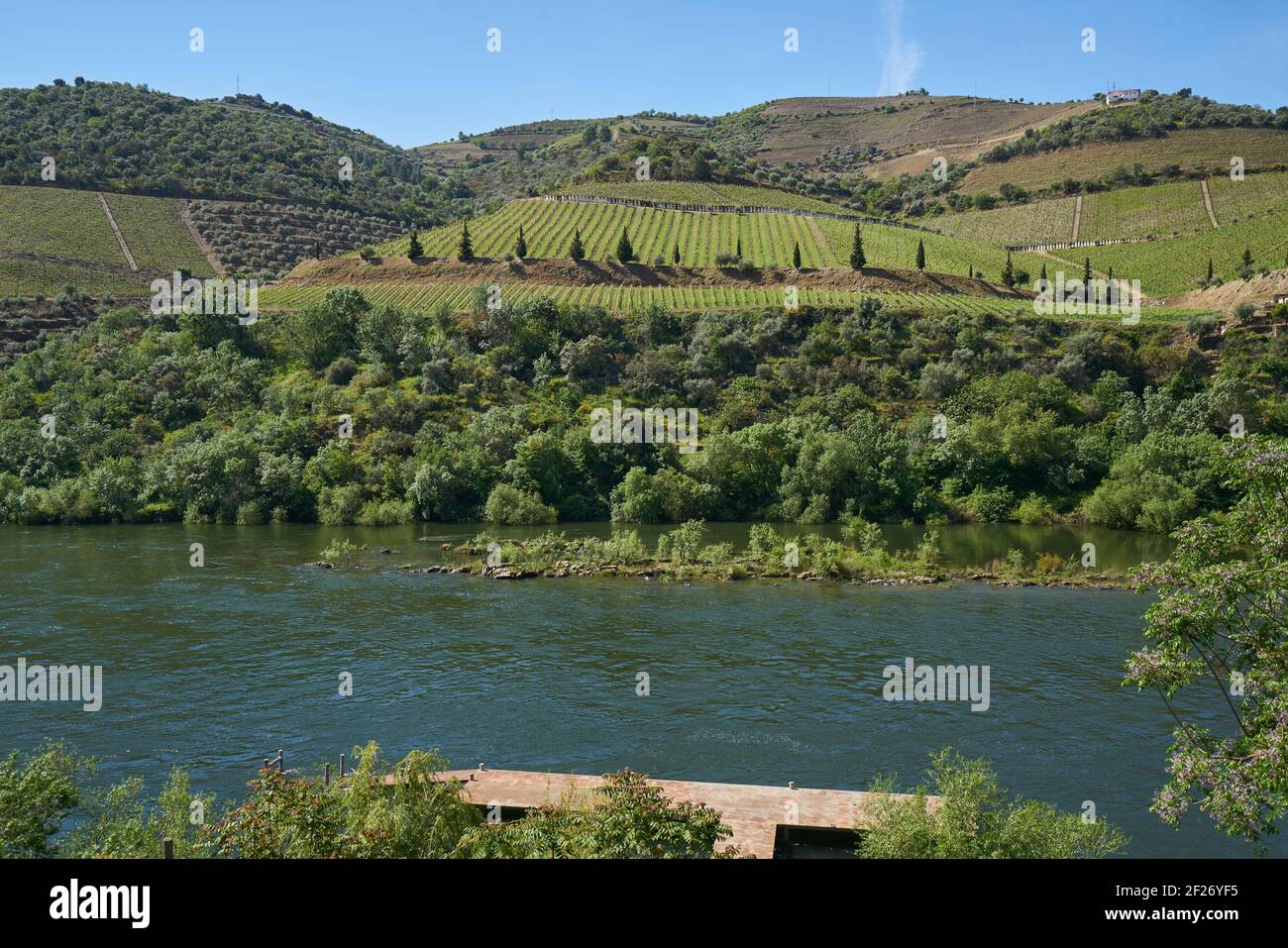 Vineyard in north portugal hi-res stock photography and images - Alamy