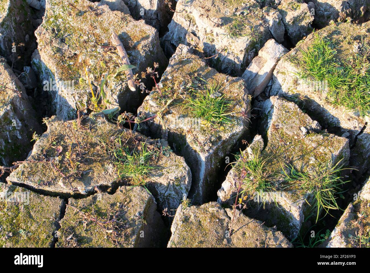 Heavily dried up landscape, mud clumps with deep cracks. Climate change ...