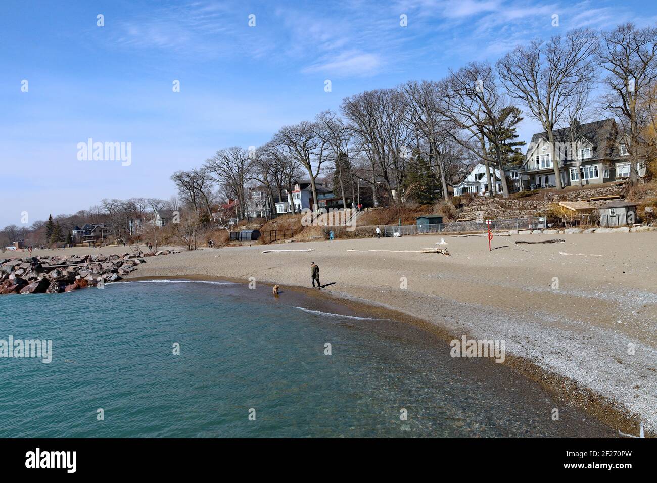Lake Ontario waterfront in Toronto, and beach with large trees and ...