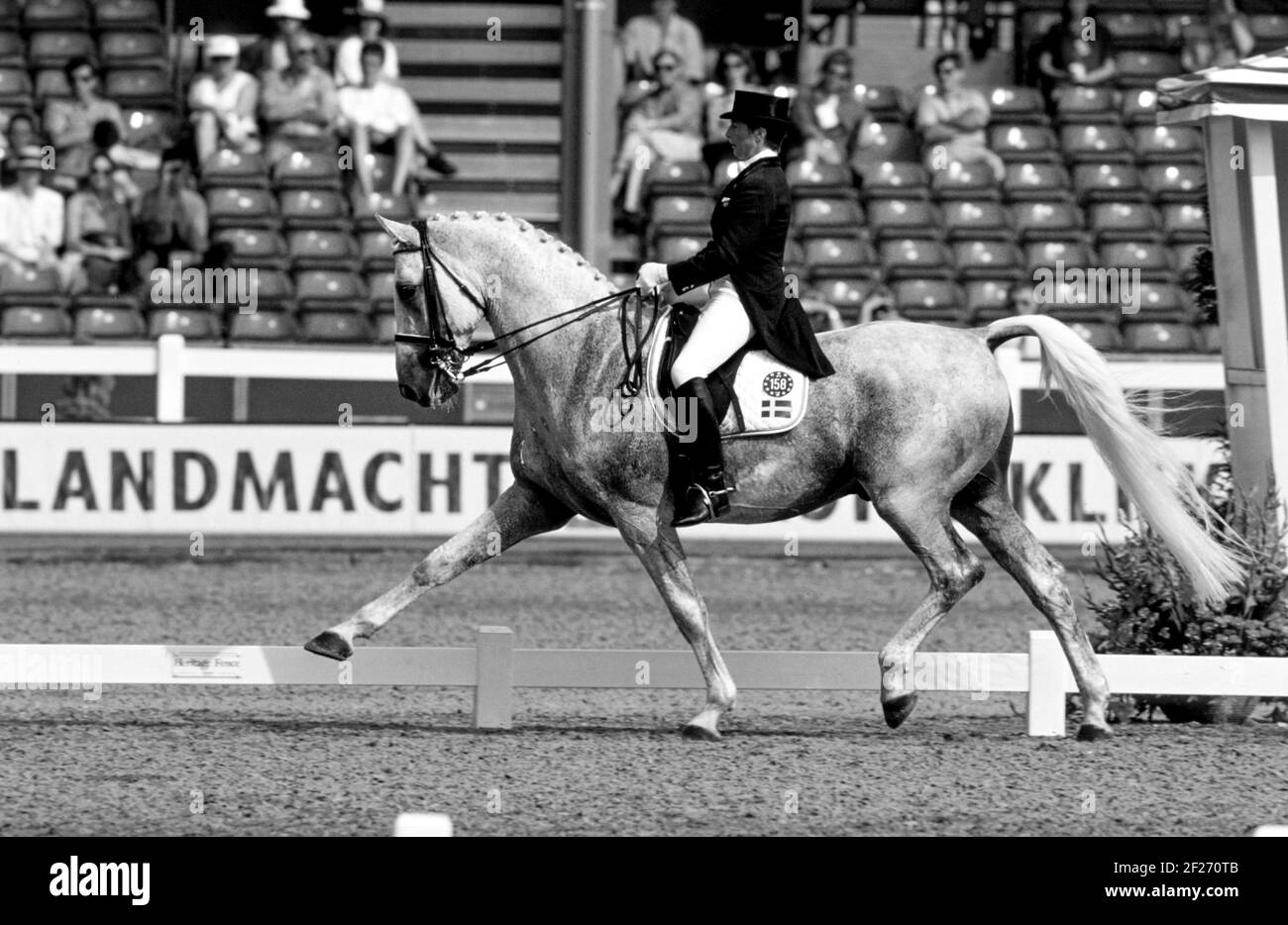 Swedish warmblood horse hi-res stock photography and images - Alamy