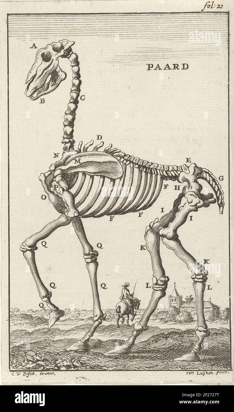 Catalog number labeled hi-res stock photography and images - Alamy