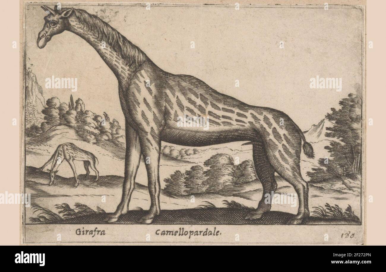 Collection of mythical creatures hi-res stock photography and images ...