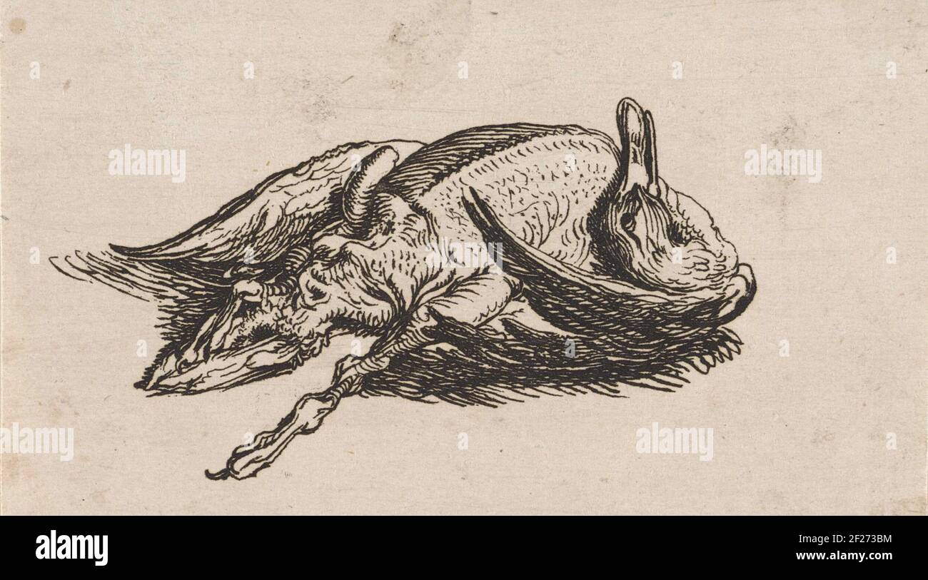 Dead duck Stock Photo - Alamy