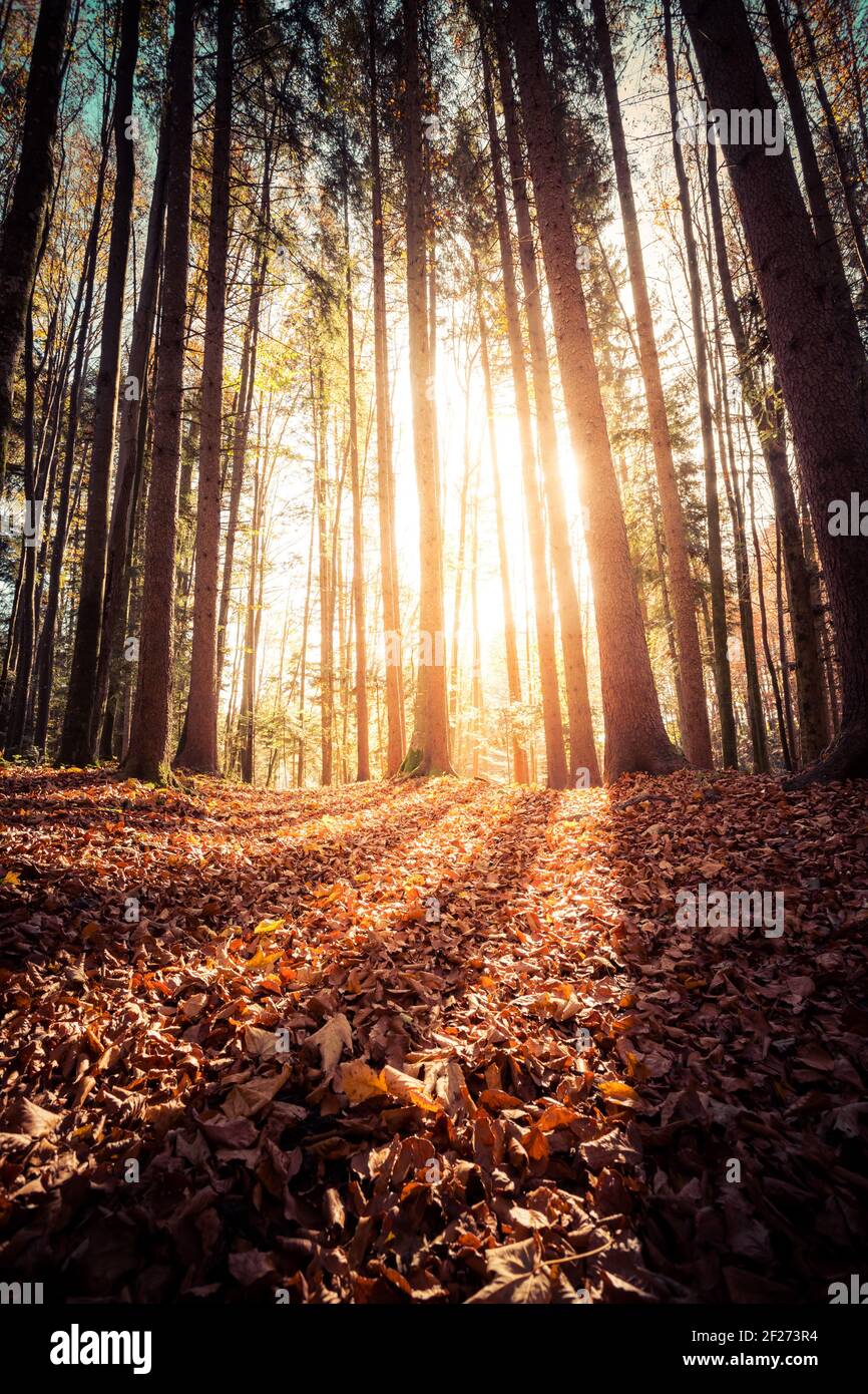 Positive Perspective High Resolution Stock Photography and Images - Alamy