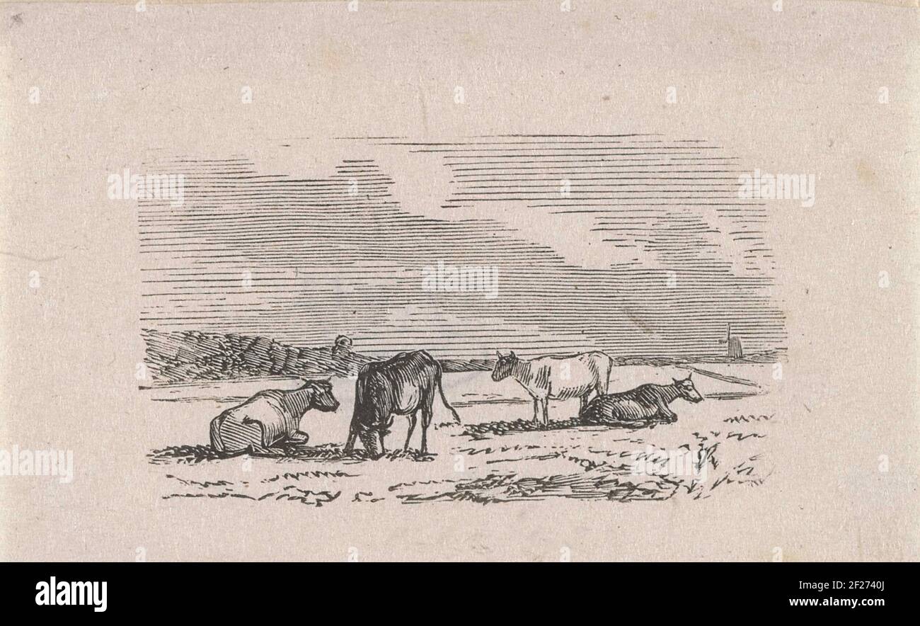 Four cows in a meadow; Months of the year Stock Photo - Alamy