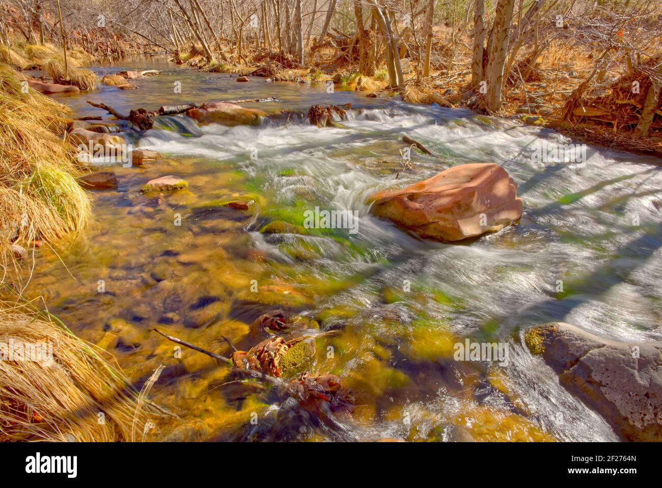 Red rock state park in az hi-res stock photography and images - Alamy