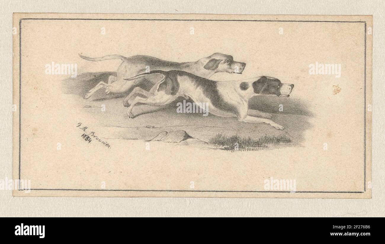 Running with dogs hi-res stock photography and images - Alamy