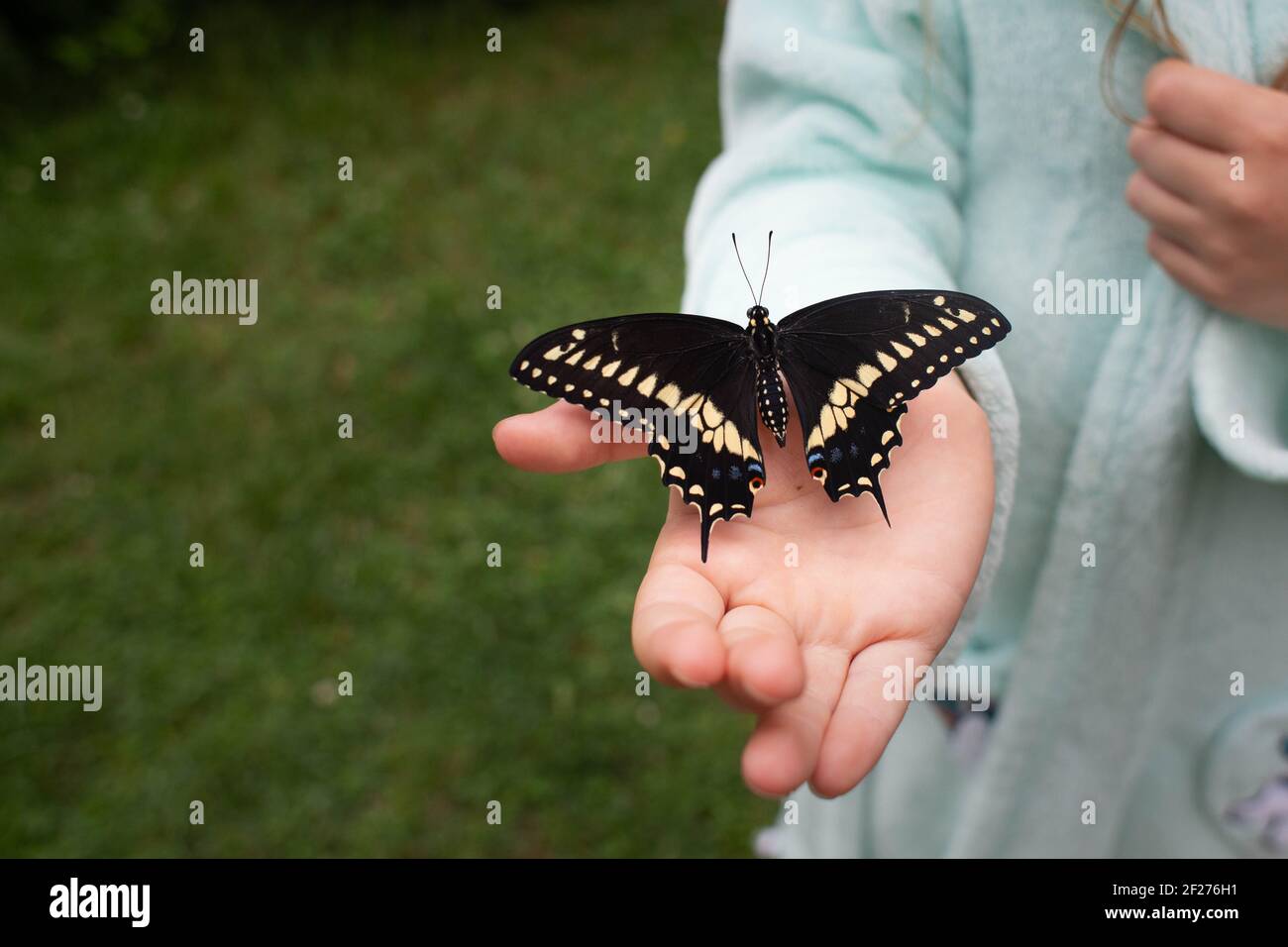 Teen girl butterfly in hand hi-res stock photography and images - Alamy