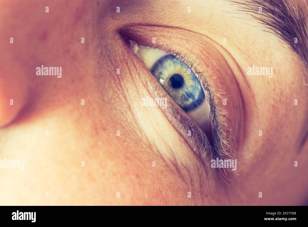 Close up of feminine natural blue eyes, cut out of the face, healthcare ...