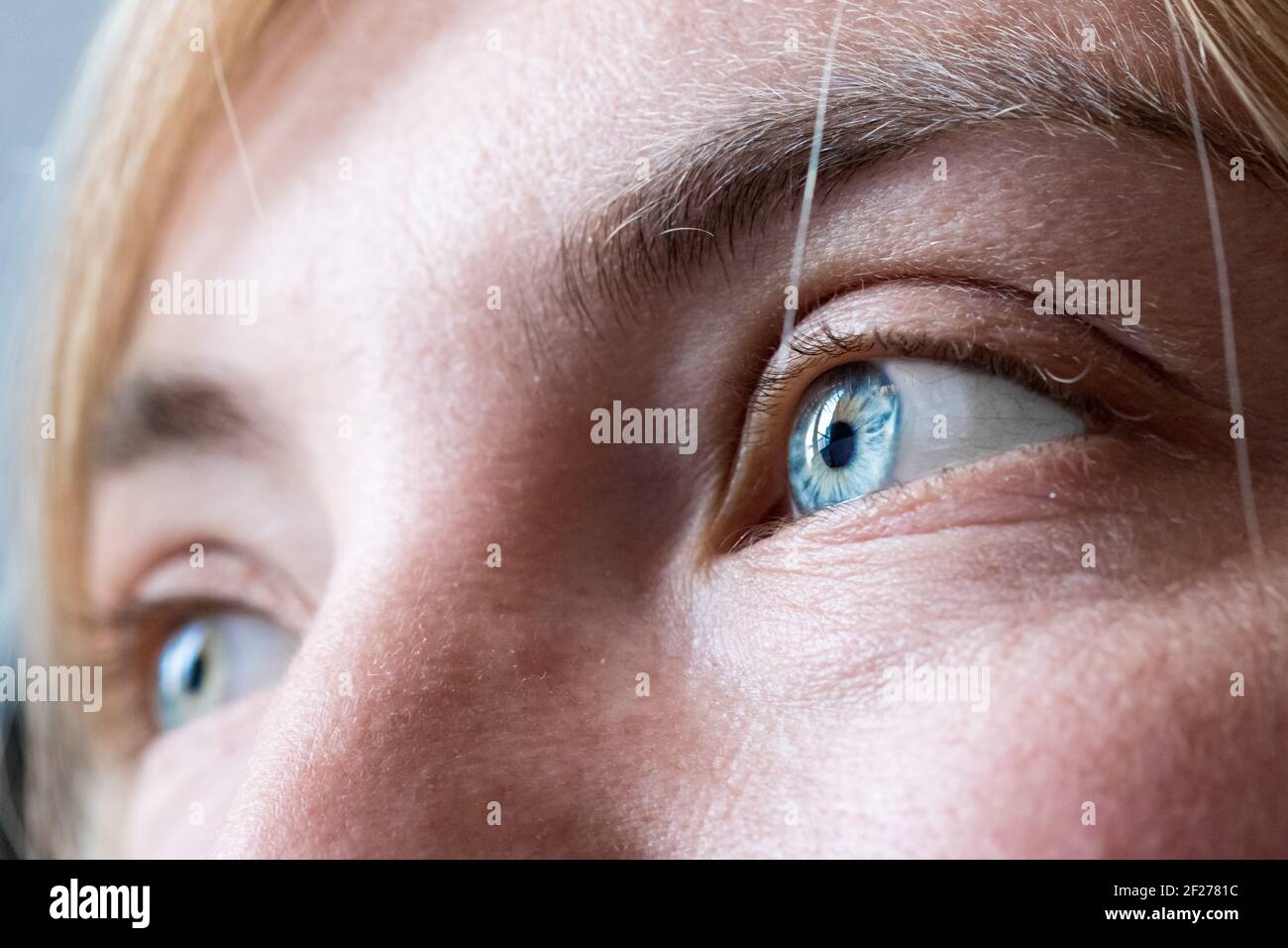 Close up of feminine natural blue eyes, cut out of the face, healthcare ...