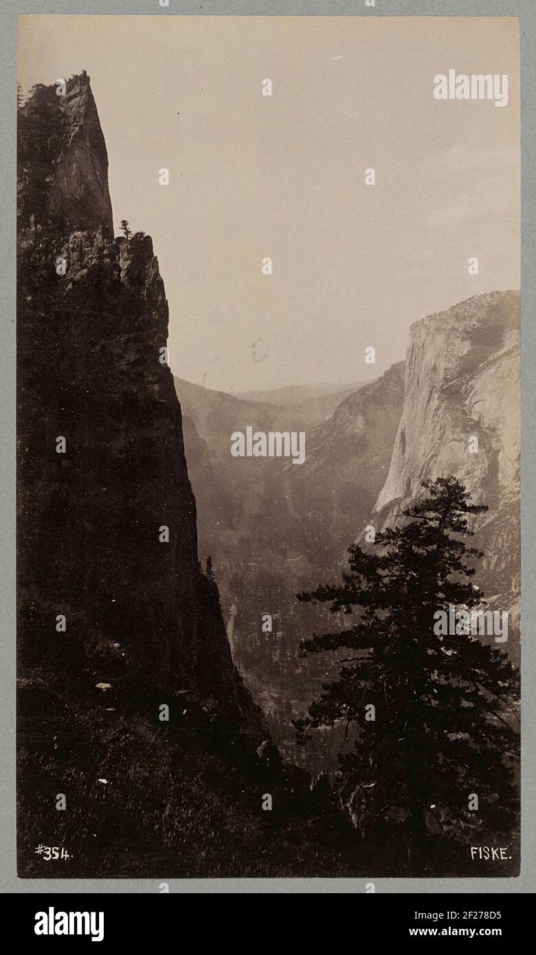 Gorge with trees in the United States Stock Photo - Alamy