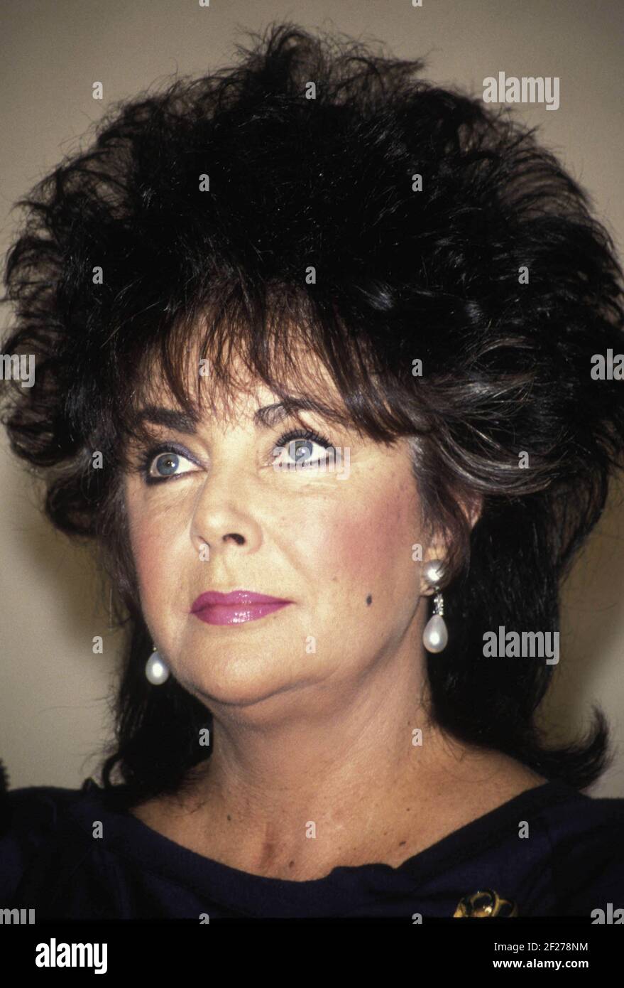 Elizabeth scull hi-res stock photography and images - Alamy