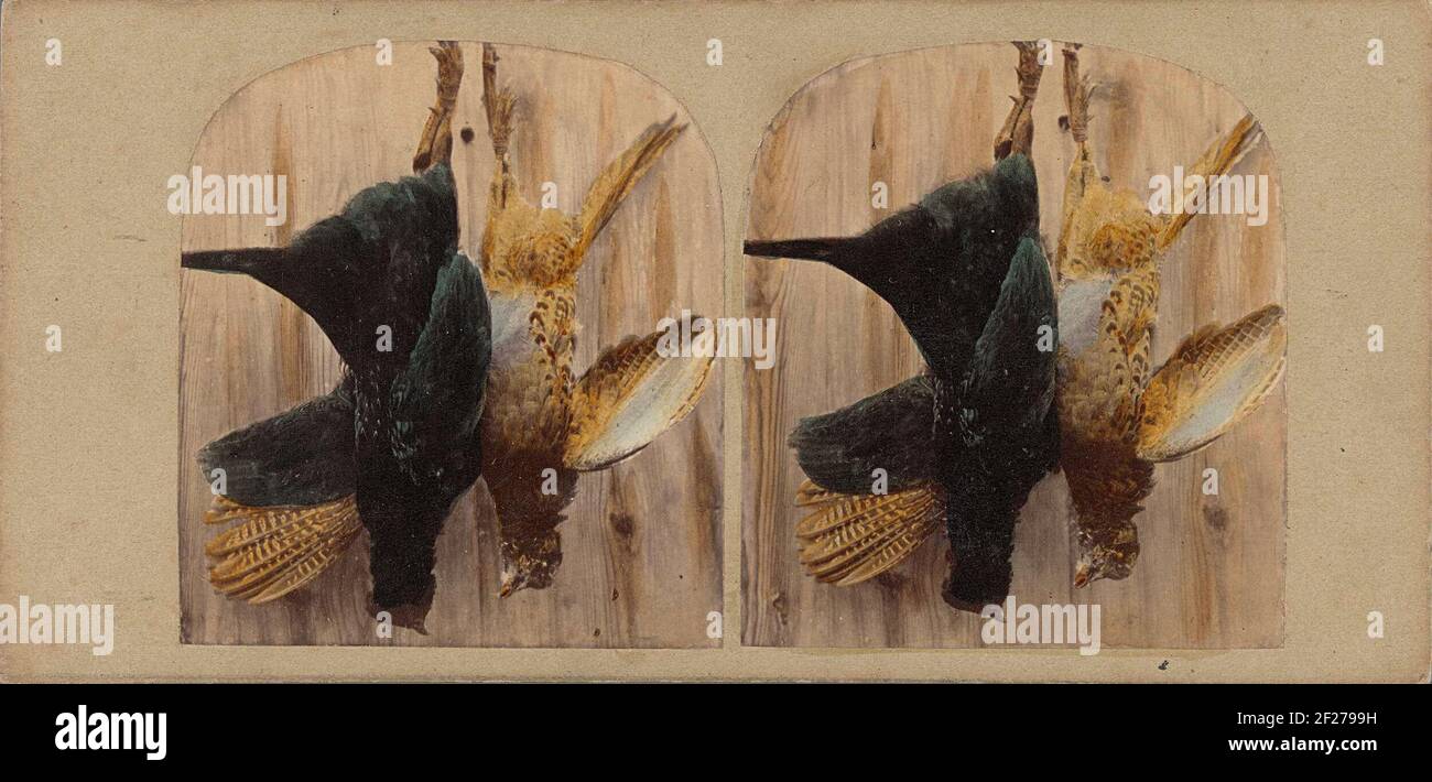 Still life with fowl hi-res stock photography and images - Alamy