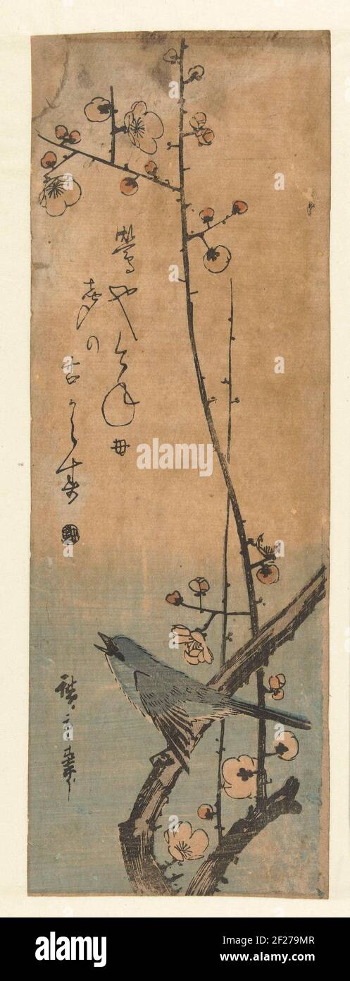 Japanese shrink singer on plum branch, with haiku Stock Photo - Alamy