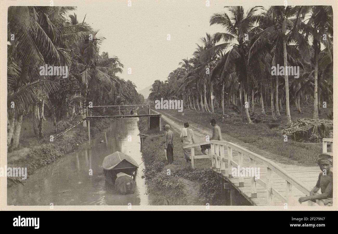 Water along a palm plantation in Indonesia Stock Photo - Alamy
