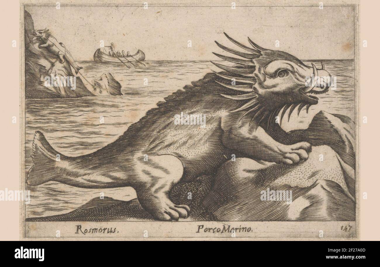 Snuffer; Rosmorus / Porco Marino; Animals and fabulous beings; NOVA ...