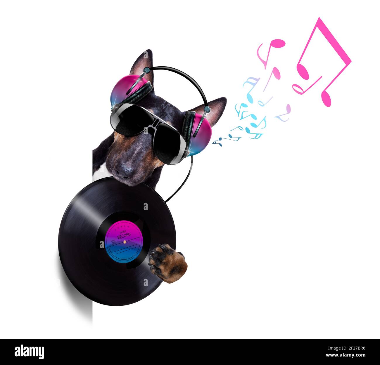 Dj disco dancing music dog Stock Photo - Alamy