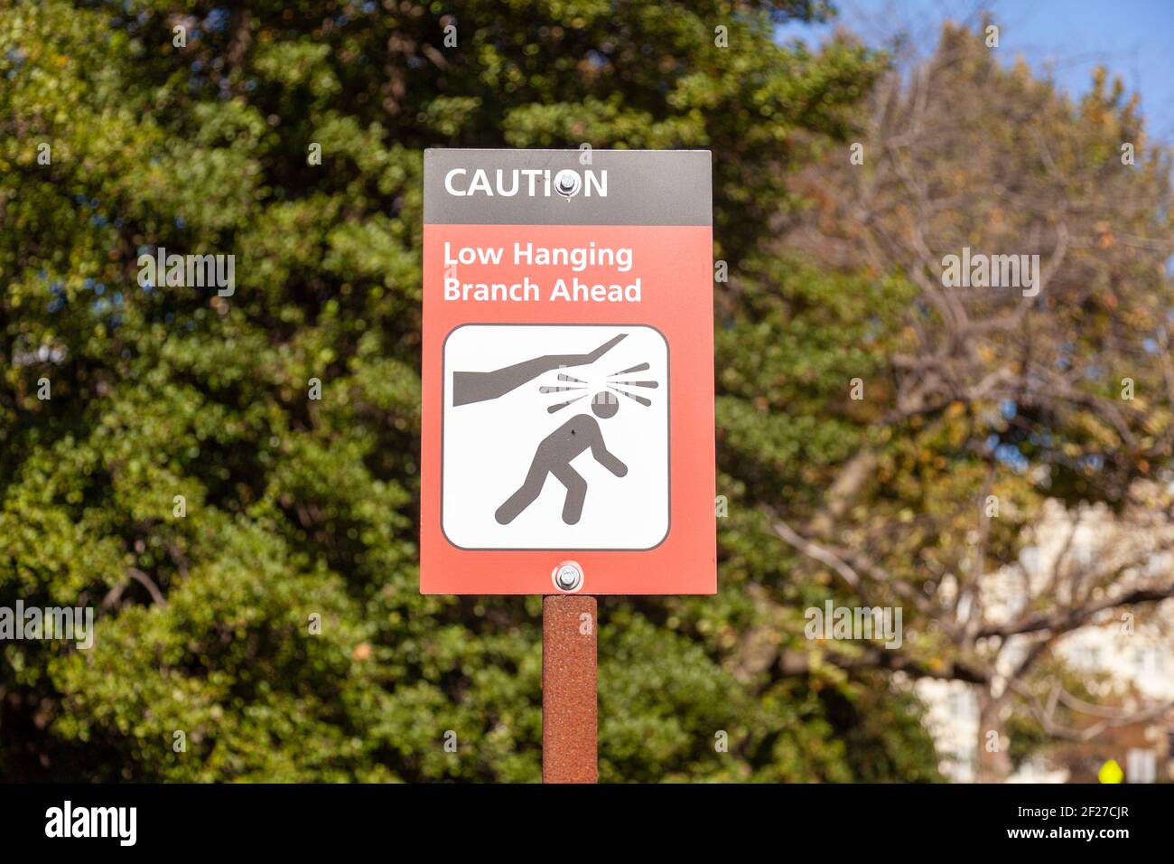 Bump head hi-res stock photography and images - Alamy