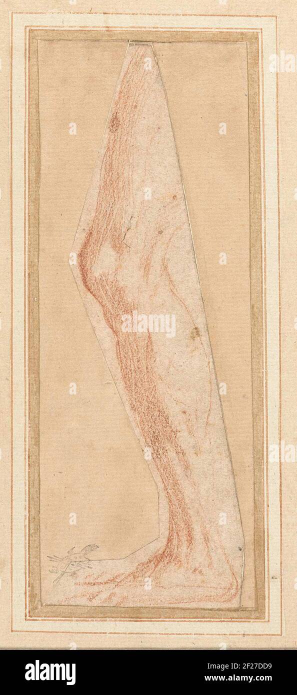 Leg muscles anatomy hi-res stock photography and images - Alamy