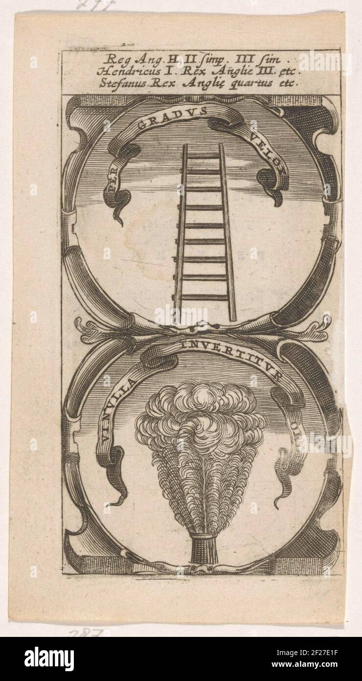 Ladder shared Hemel / Struisvogelveren; During the Quick Step / Vi ...