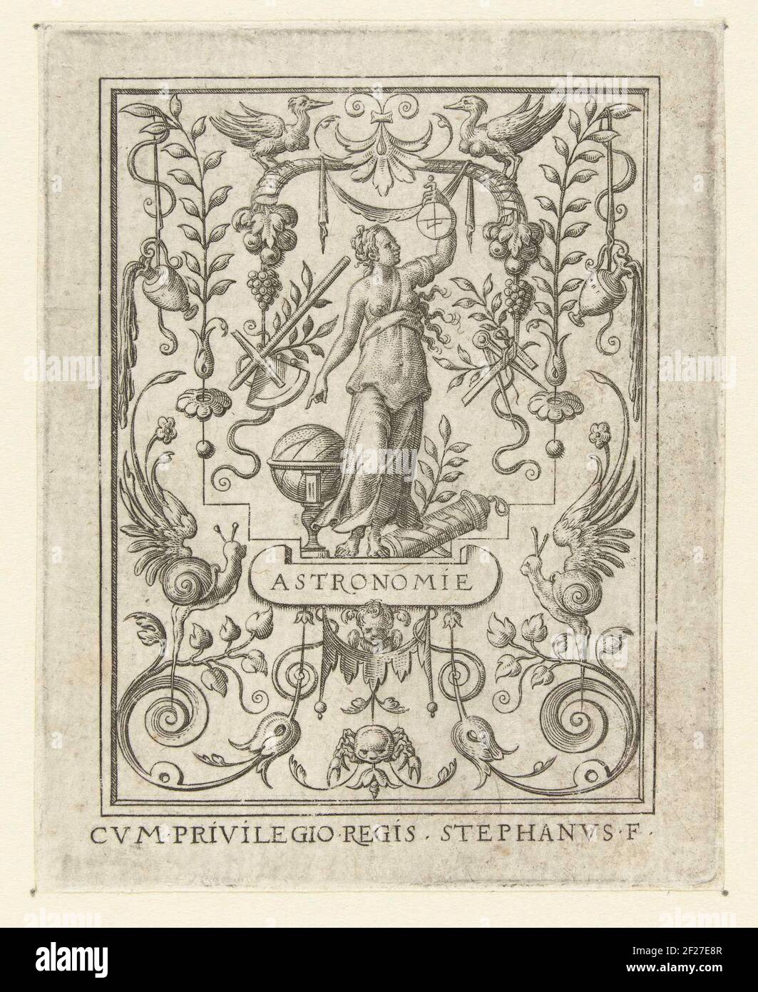 Winged snail hi-res stock photography and images - Alamy