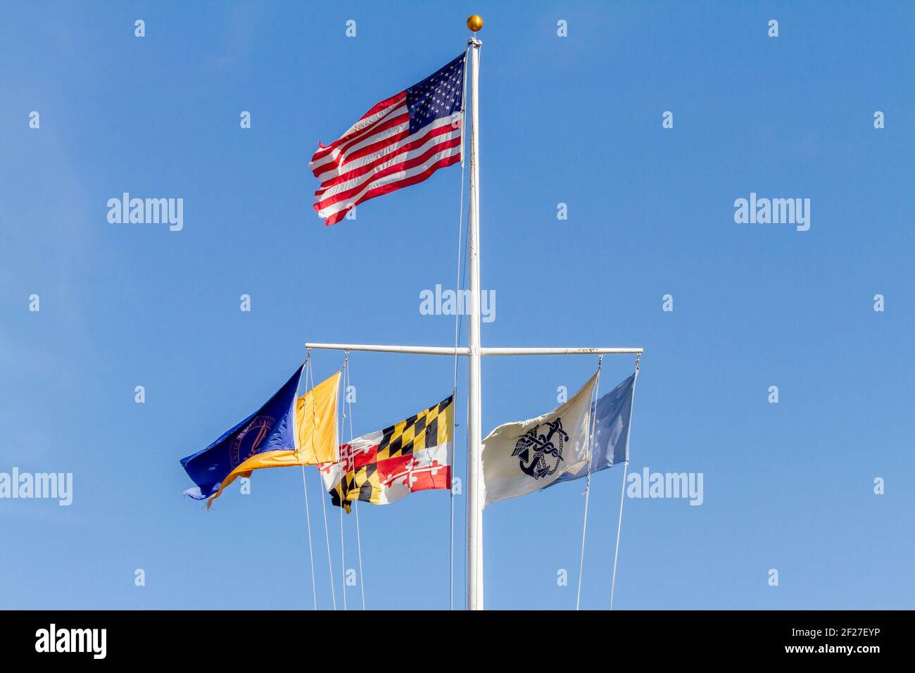 Us navy logo hi-res stock photography and images - Alamy