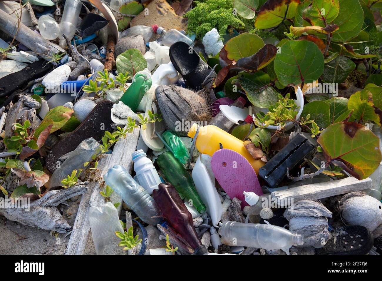 Plastic contaminants hi-res stock photography and images - Alamy