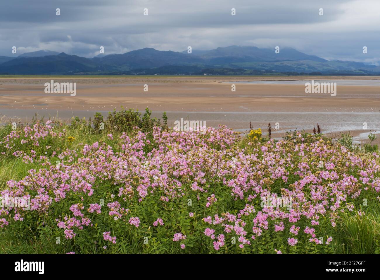 The village of Haverigg lies on the Duddon Estuary a short distance ...