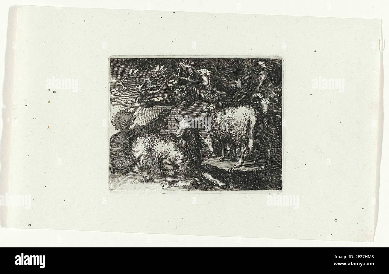 Shepherd with sheep; Pastors and animals Stock Photo - Alamy