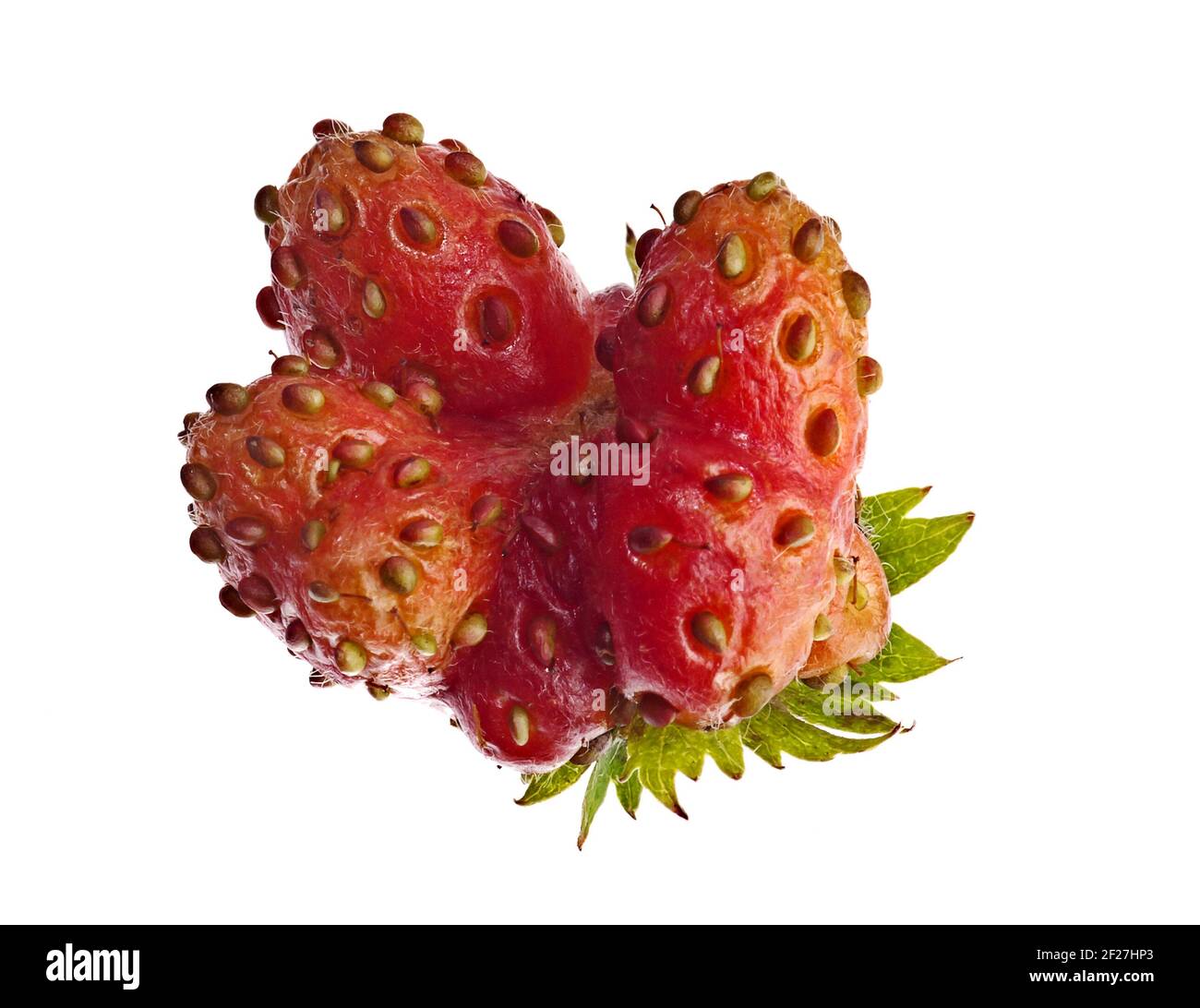 Deformed fruits hi-res stock photography and images - Alamy