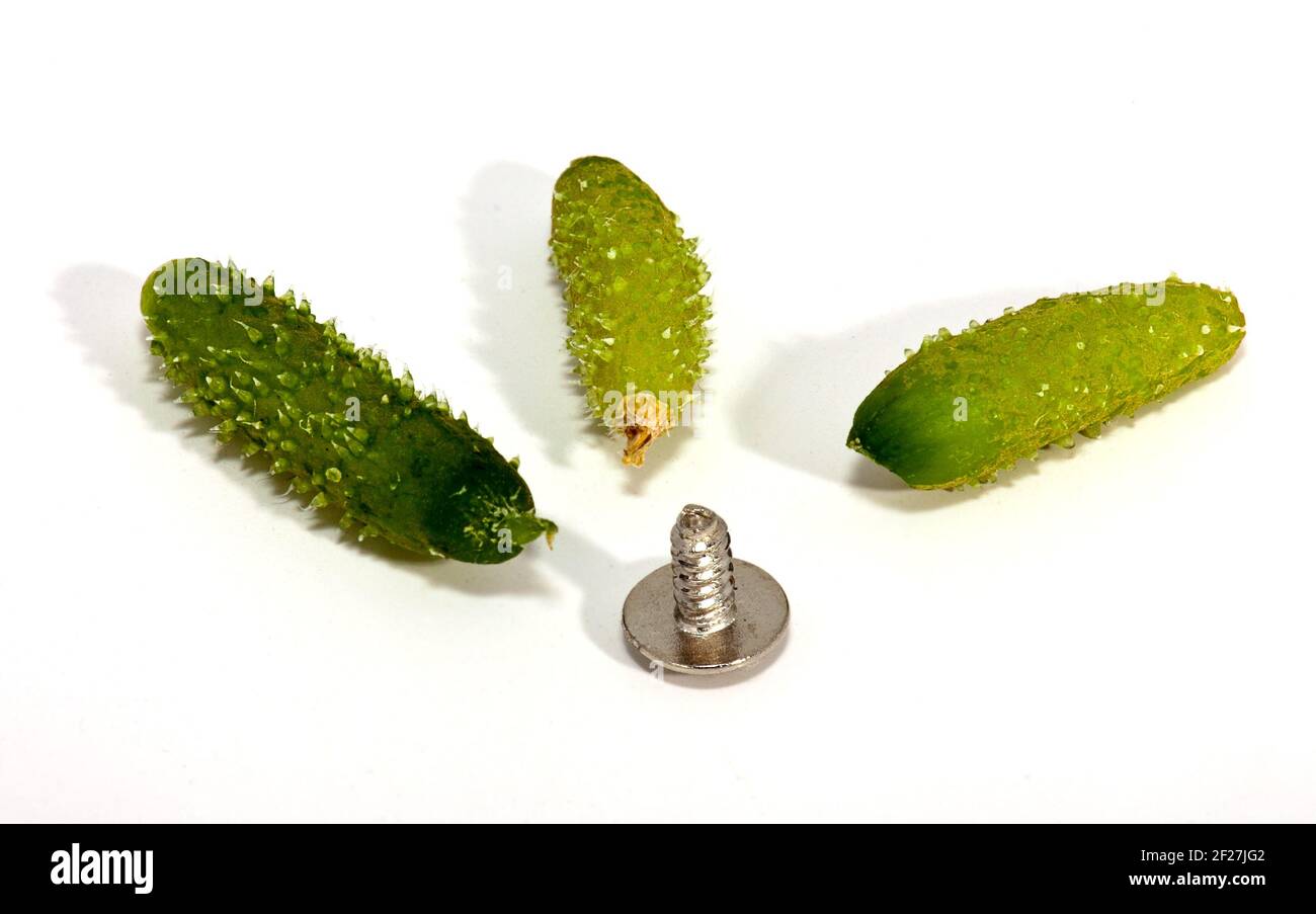 Very small objects hi-res stock photography and images - Alamy