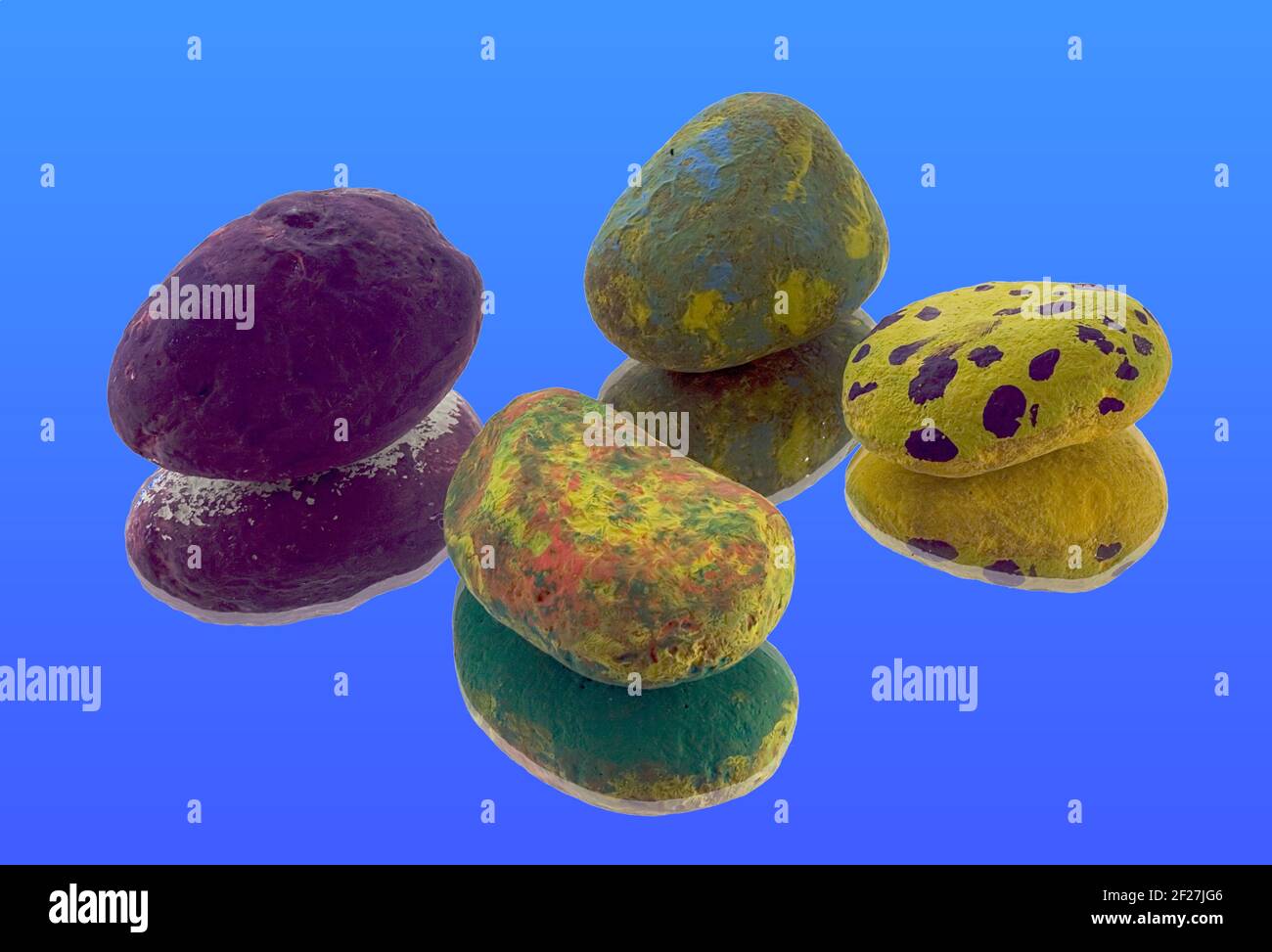 Four Paint High Resolution Stock Photography and Images - Alamy