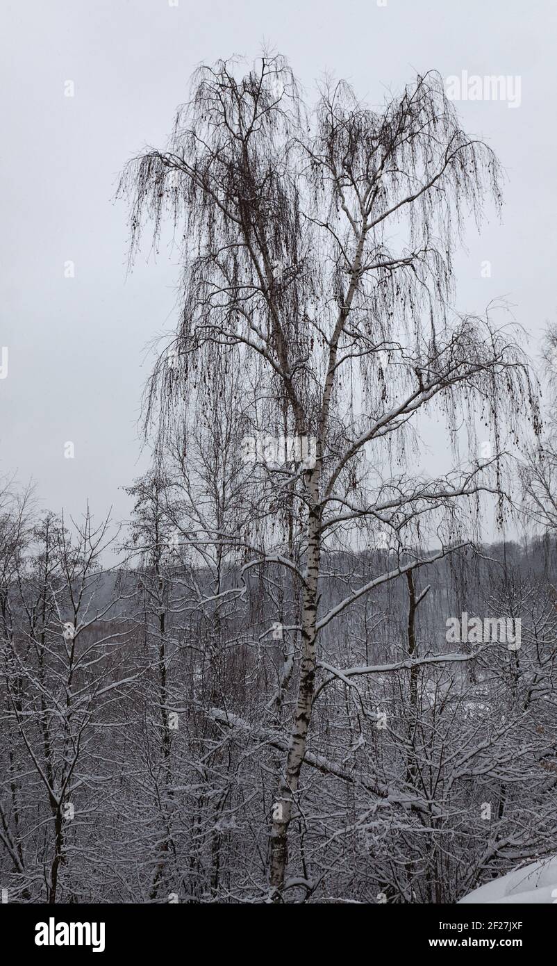 Nordic suburbs hi-res stock photography and images - Alamy