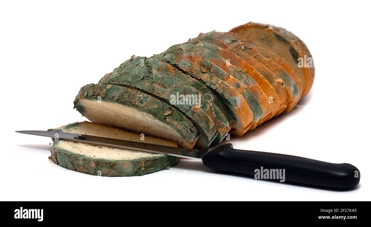 Mouldy loaf hi-res stock photography and images - Alamy