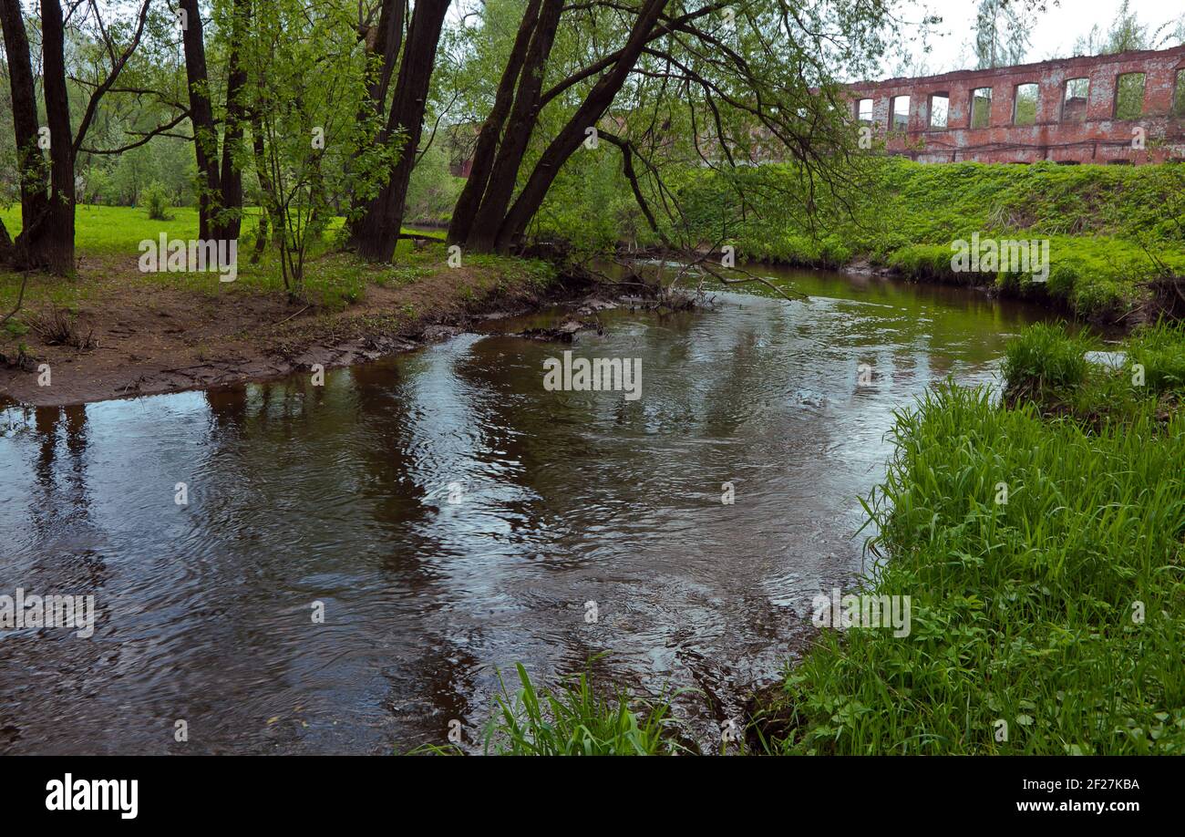 On coast of the silent river Stock Photo - Alamy