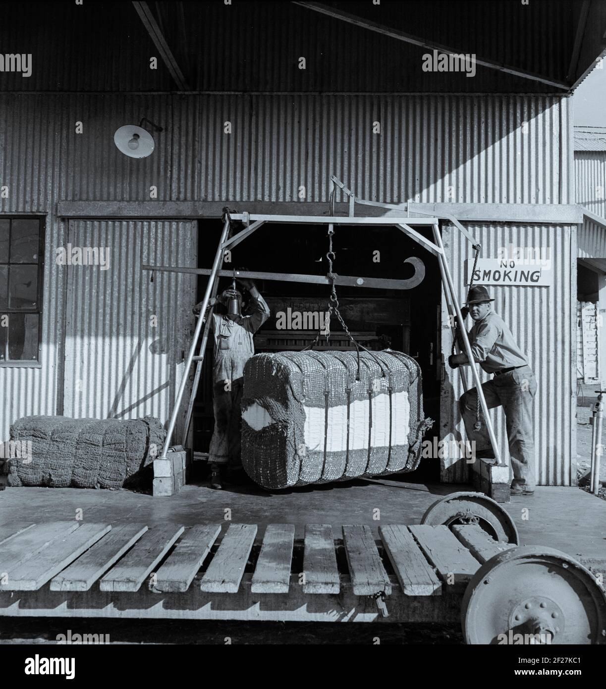 Weighing baled cotton as it leaves the gin. Kaweah Delta Cooperative ...