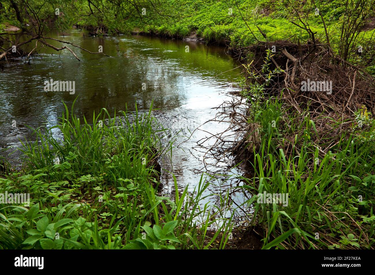 Silent river hi-res stock photography and images - Alamy