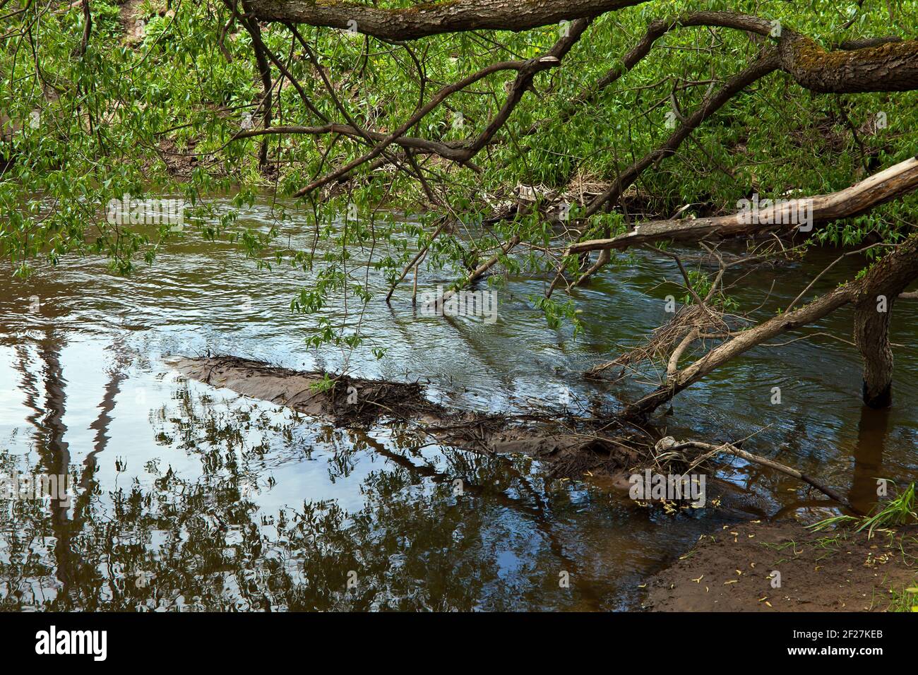 Silent river hi-res stock photography and images - Alamy