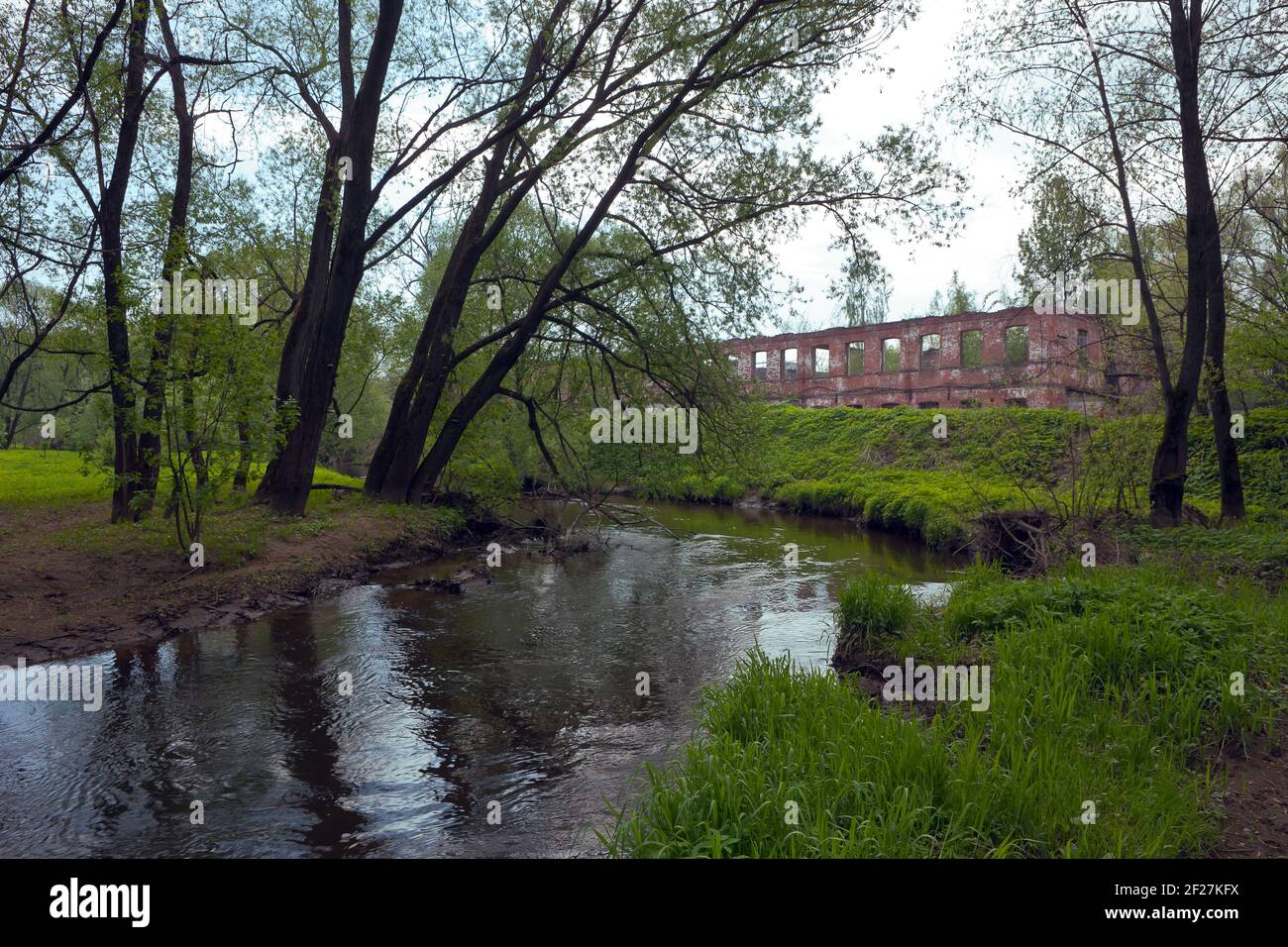 On coast of the silent river Stock Photo - Alamy