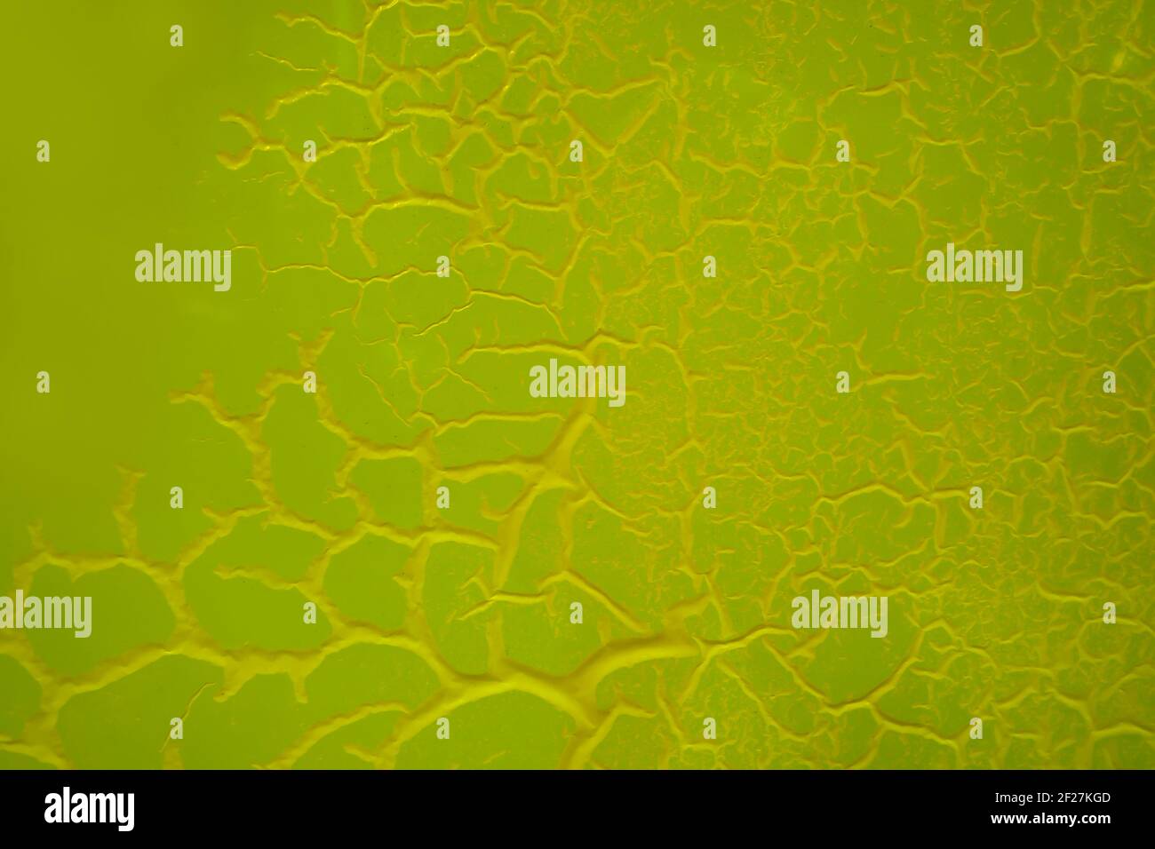 wrinkled painted surface with lines and grungy effect Stock Photo - Alamy