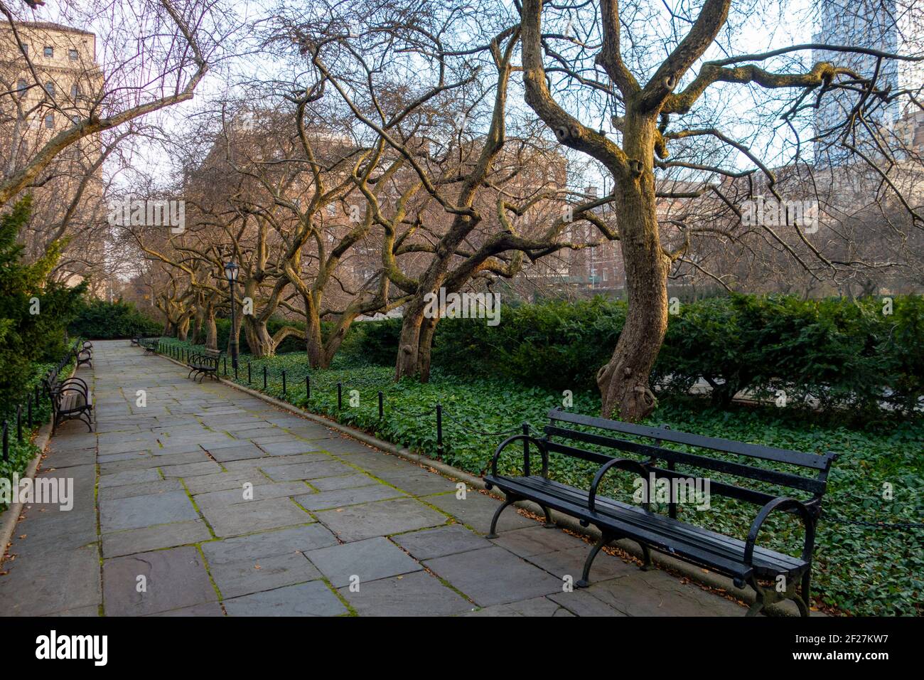 city park with rectangle slat wakway with benches evergreen bushes and ...