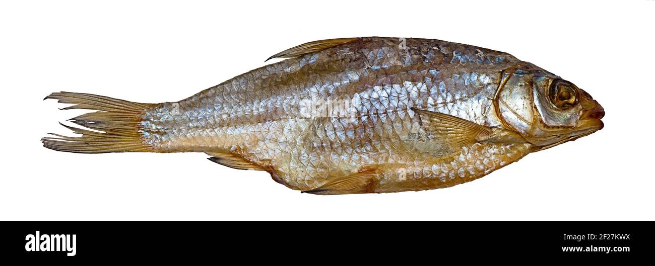 Vobla dry hi-res stock photography and images - Alamy