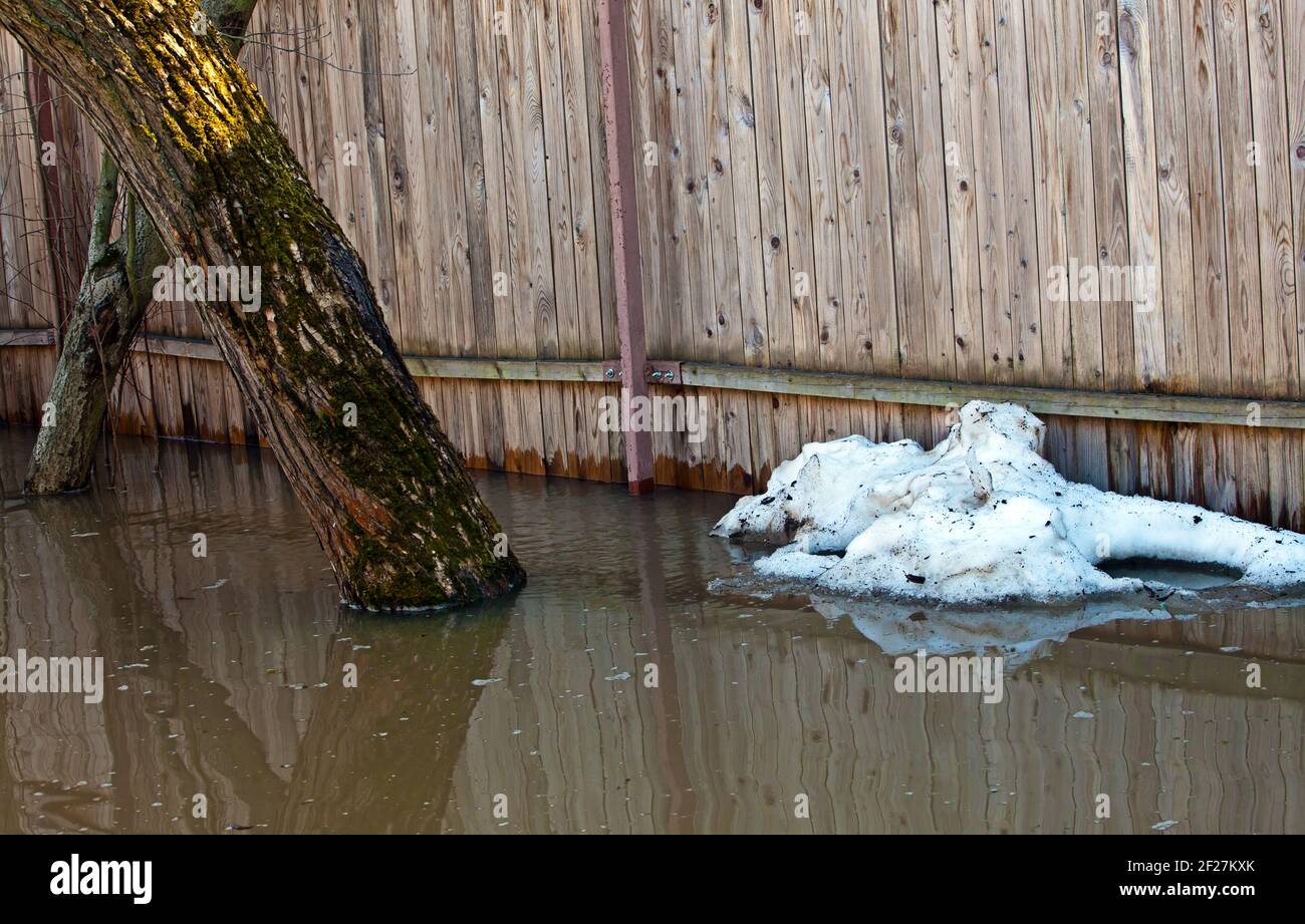 The flooding. Trees in melt water Stock Photo - Alamy